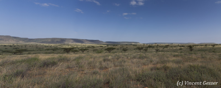 Endless plain, between Barsaloi and Baragoi - Gesser Images and Photography
