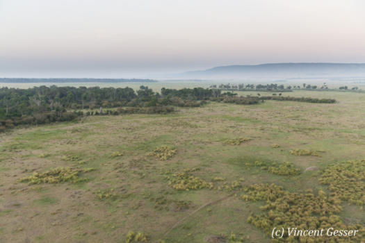 Aerial view of Kenya Masai Mara National Reserve 011 _DX_1405 - Gesser ...